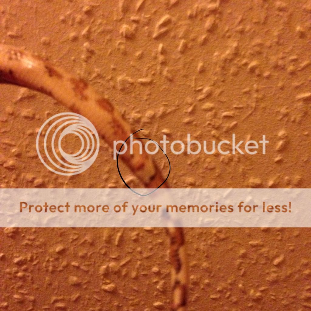 Scale rot | Reptile Forums